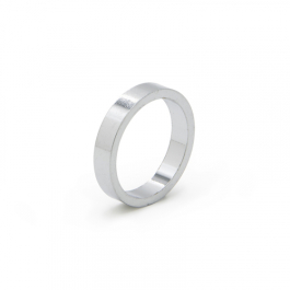 FHC | RCT100BS .100" Cylinder Ring - Brushed Stainless | Frameless ...